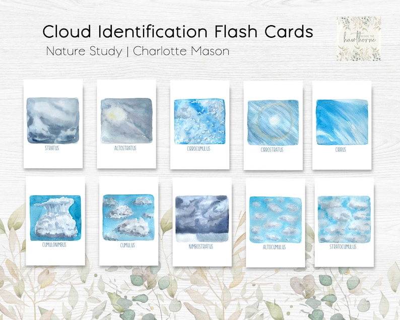 Cloud Identification Flashcards, Clouds Flash Cards, Science and Nature ...