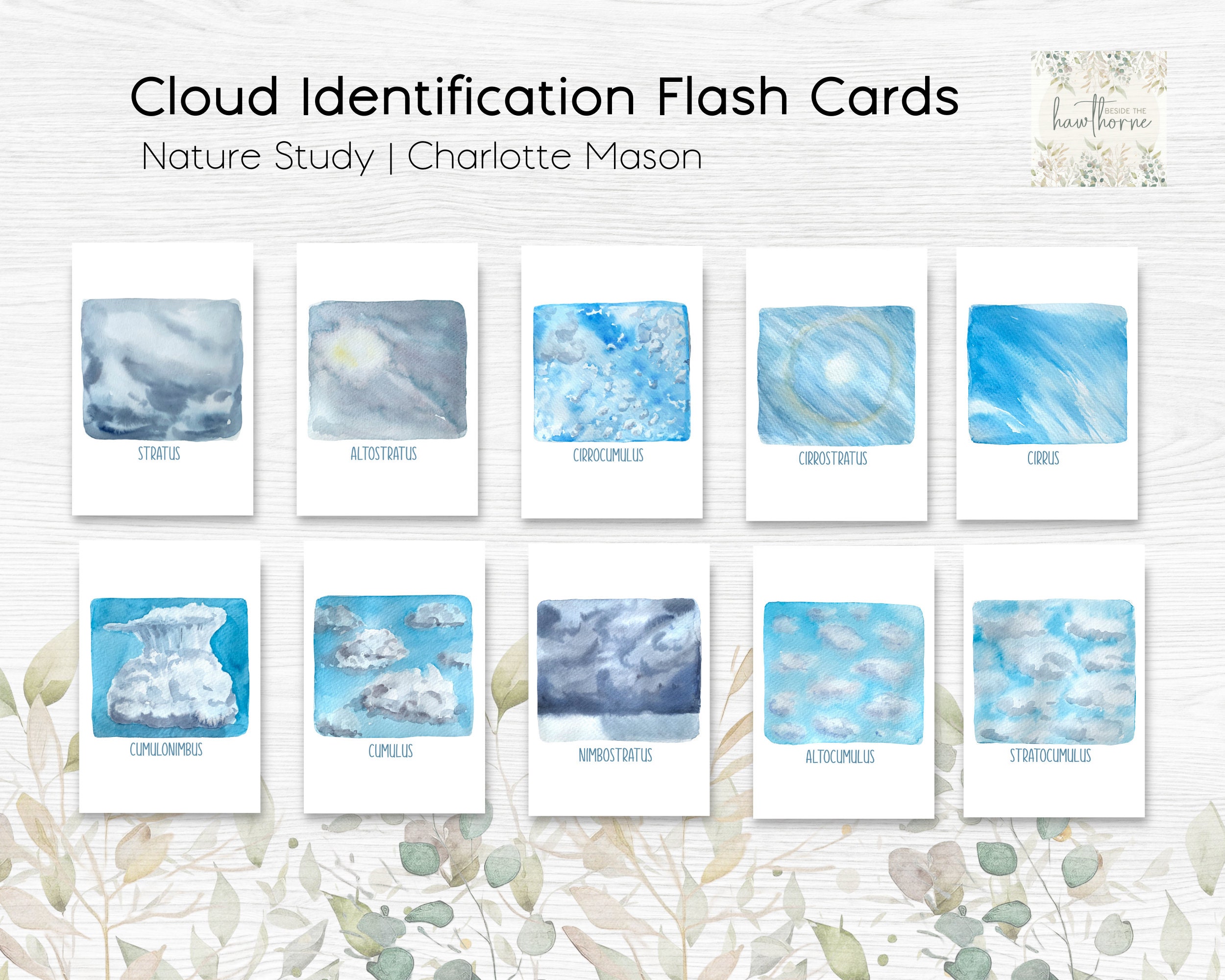 Cloud Identification Flashcards, Clouds Flash Cards, Science and Nature ...