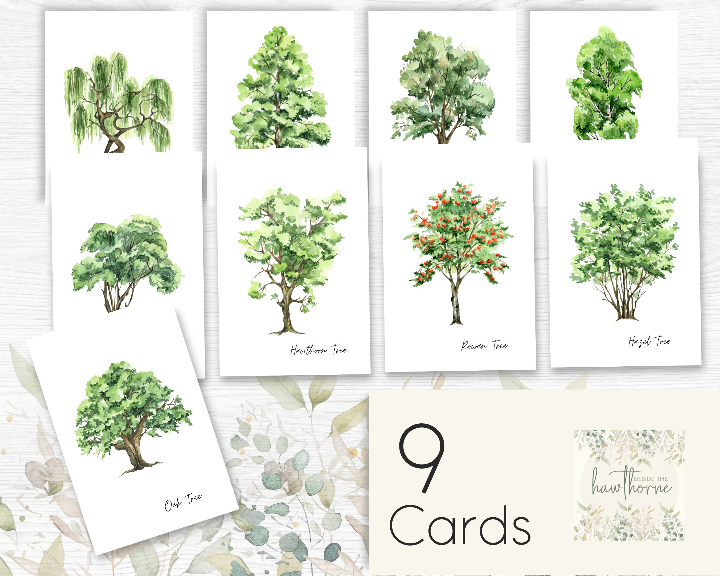 Tree Identification Flashcards, Nature Study Flash Cards, Nature ...