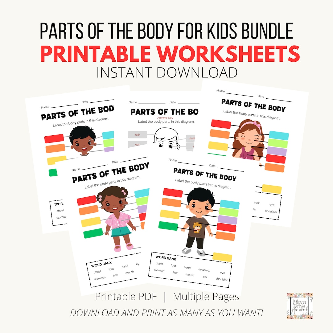 Parts of the Body for Kids Human Anatomy Worksheets Homeschool ...