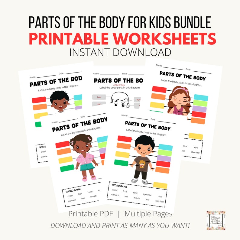 Parts of the Body for Kids | Human Anatomy Worksheets | Homeschool ...