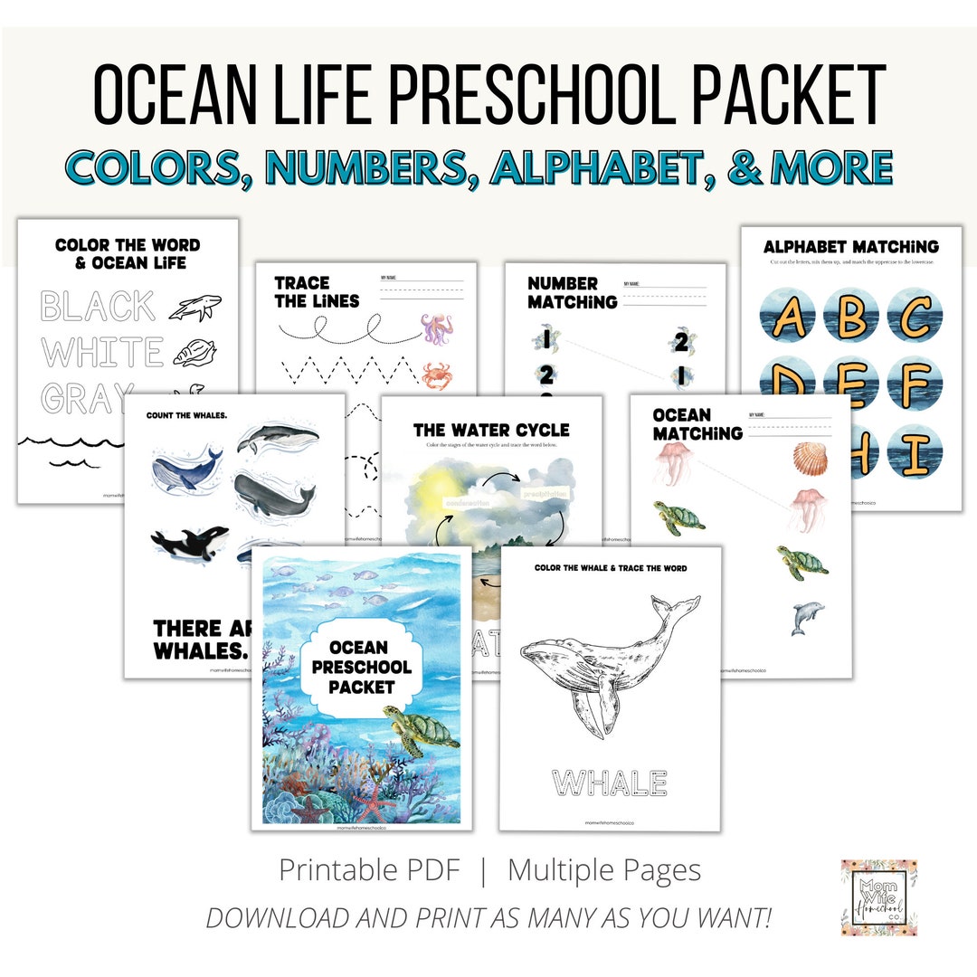 Ocean Preschool Packet | Ocean Animals Pre-k Worksheet Bundle ...