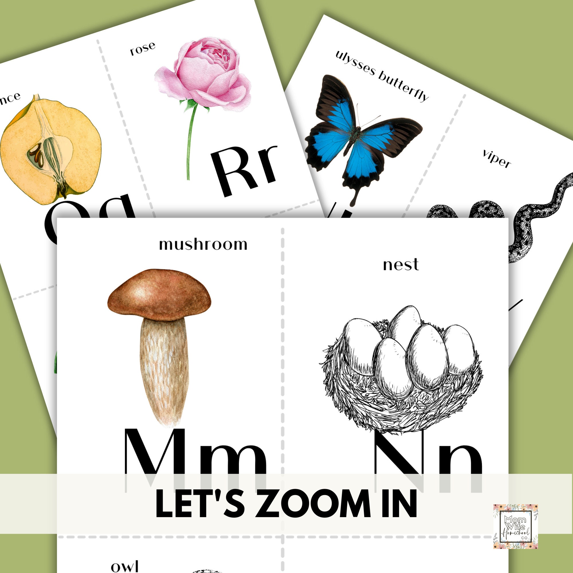Nature Alphabet Flashcards ABC Flash Cards Nature Study Homeschool ...