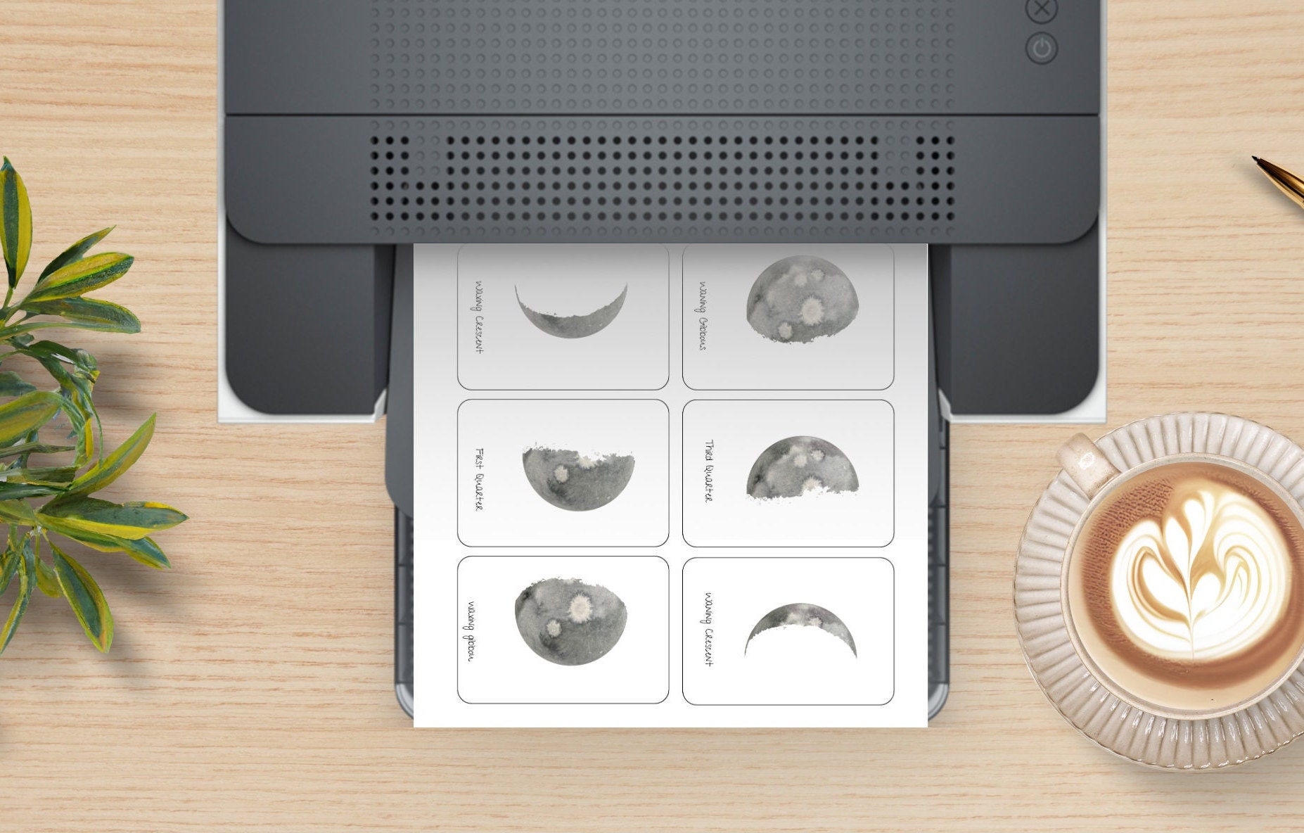 Moon Phase Cards, Lunar Phases Flash Cards, Homeschool Printables ...