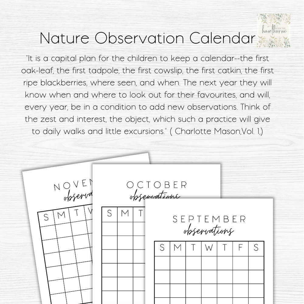 Fall Nature Study, Homeschool Printable, Life Cycle, Fall Activities ...