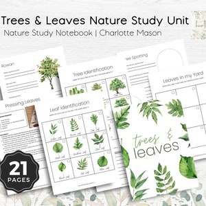 Trees & Leaves Nature Study Unit, Unit Study, Homeschool Curriculum ...