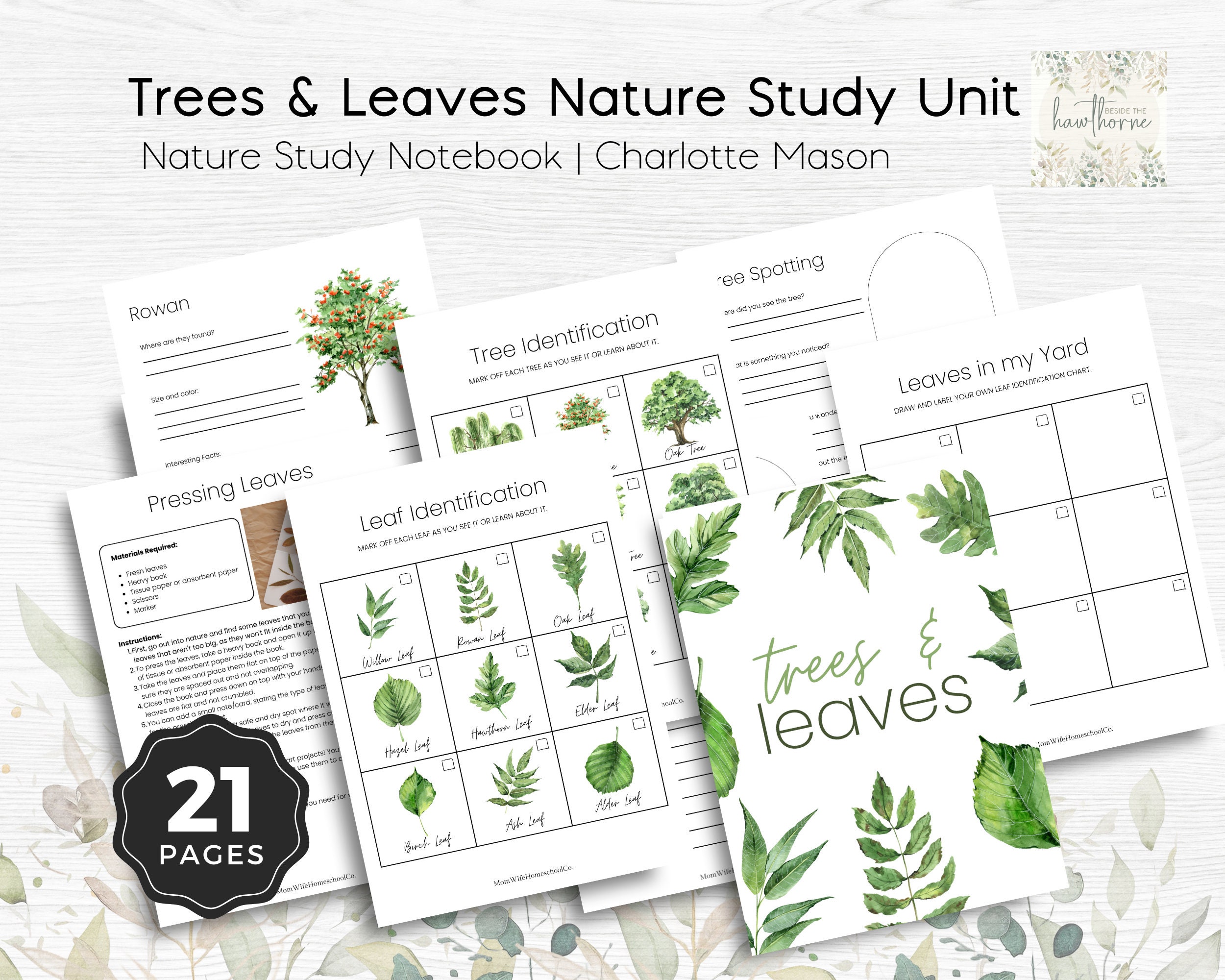 Trees & Leaves Nature Study Unit, Unit Study, Homeschool Curriculum ...