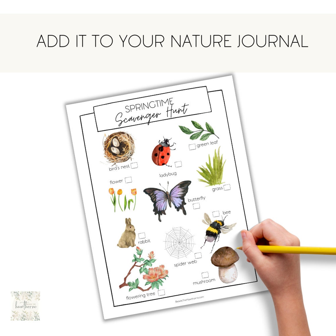 Spring Scavenger Hunt for Kids Printable Homeschool Worksheets ...