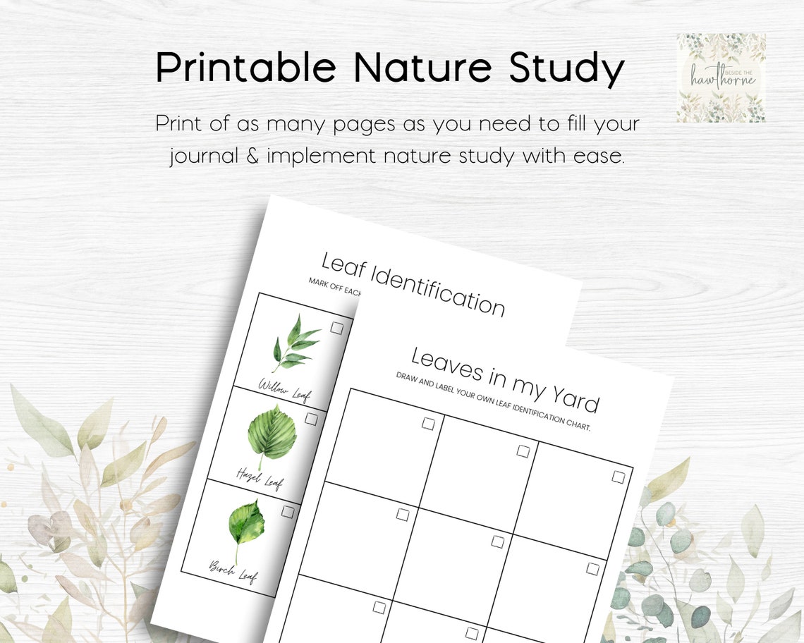Trees & Leaves Nature Study Unit, Unit Study, Homeschool Curriculum ...