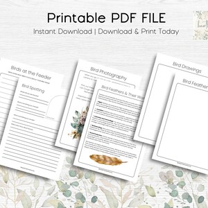 North American Birds Nature Study Unit, Unit Study, Homeschool ...