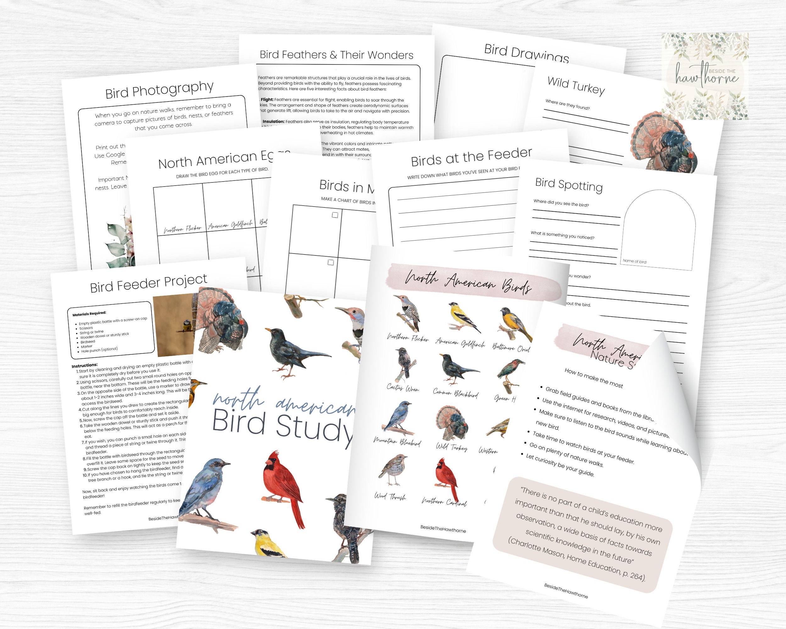 North American Birds Nature Study Unit & Flashcards Bundle, Unit Study ...