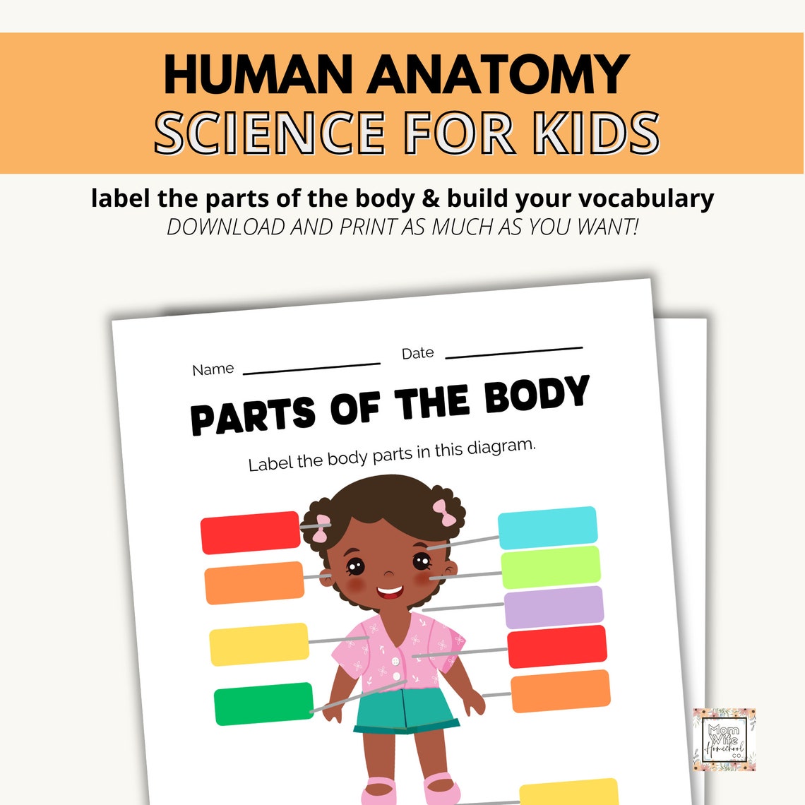 Parts of the Body for Kids Human Anatomy Worksheets Homeschool ...
