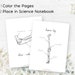 Human Anatomy Worksheets | Homeschool Science | Coloring Book ...