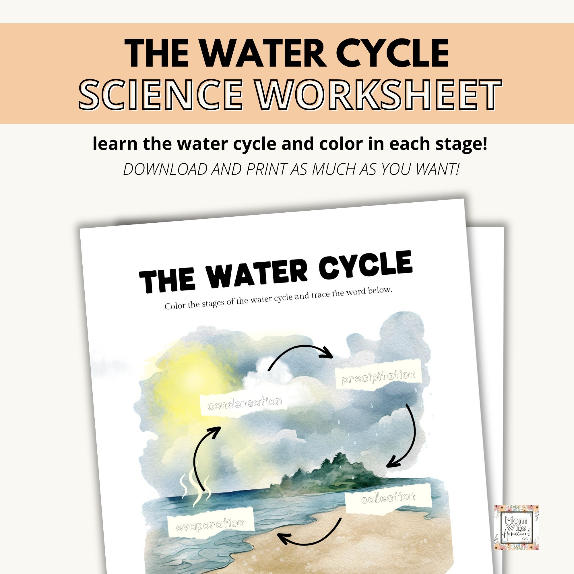 Ocean Preschool Packet Ocean Animals Pre-k Worksheet Bundle - Etsy