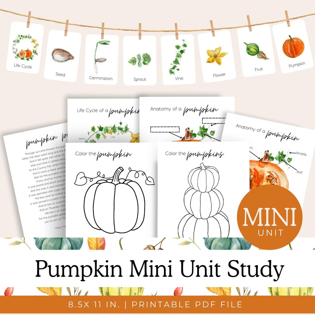 Pumpkin Mini Unit, Instant Download | Pumpkin Anatomy | Nature Study ...