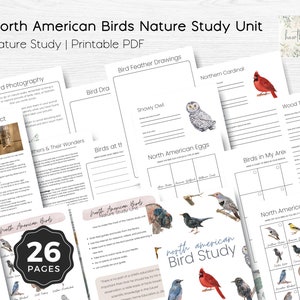 North American Birds Nature Study Unit, Unit Study, Homeschool ...