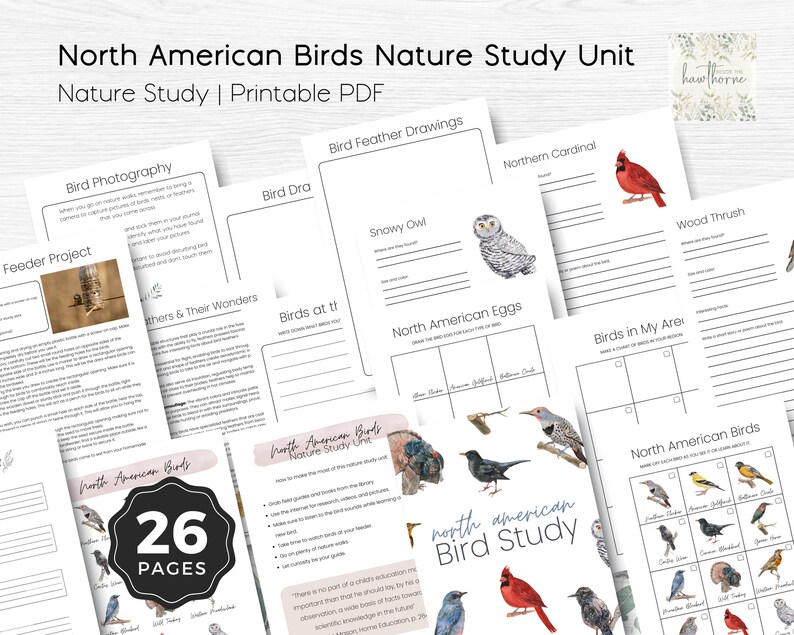 North American Birds Nature Study Unit, Unit Study, Homeschool ...