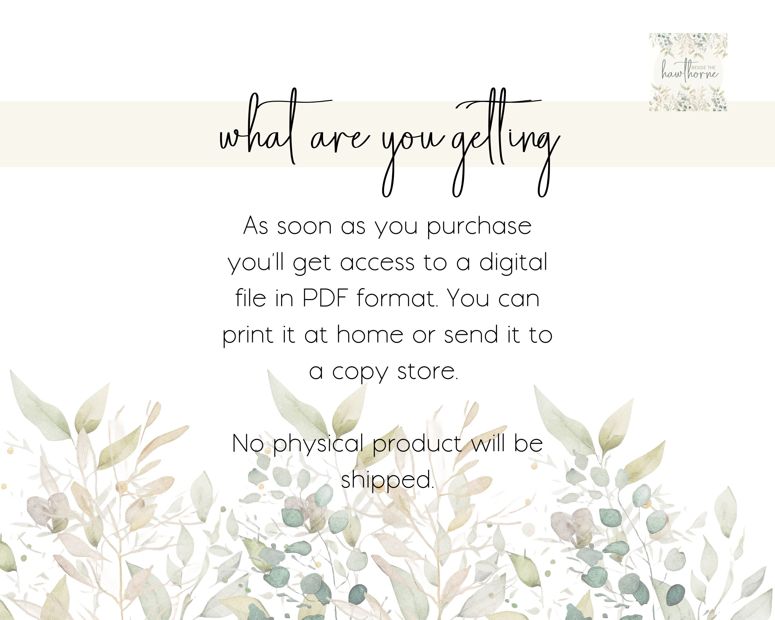 North American Birds Nature Study Unit, Unit Study, Homeschool ...