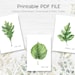 Leaf Identification Flashcards, Nature Study Flash Cards, Nature ...