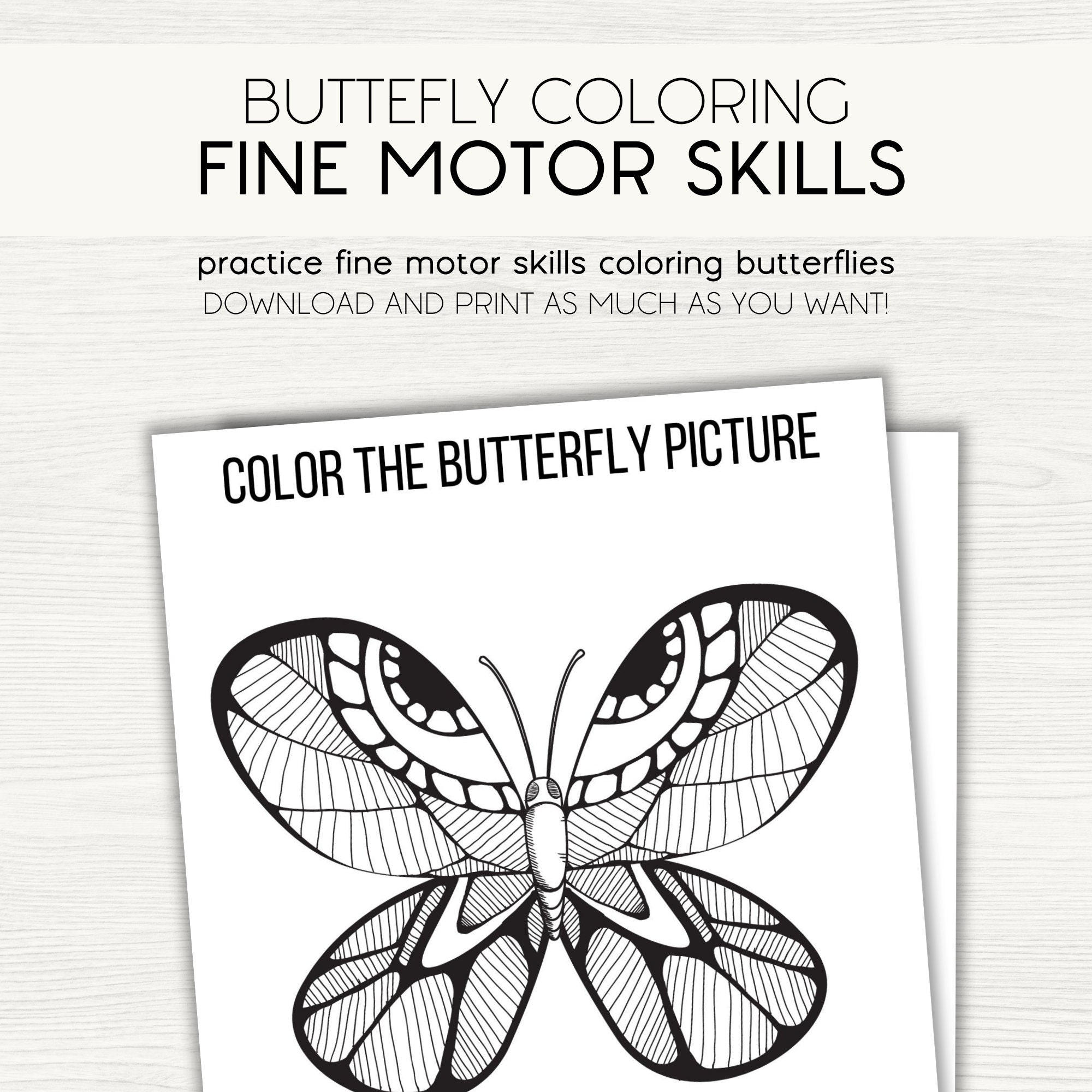 Butterfly Pre-k Packet Preschool Worksheets Printable Letters and ...