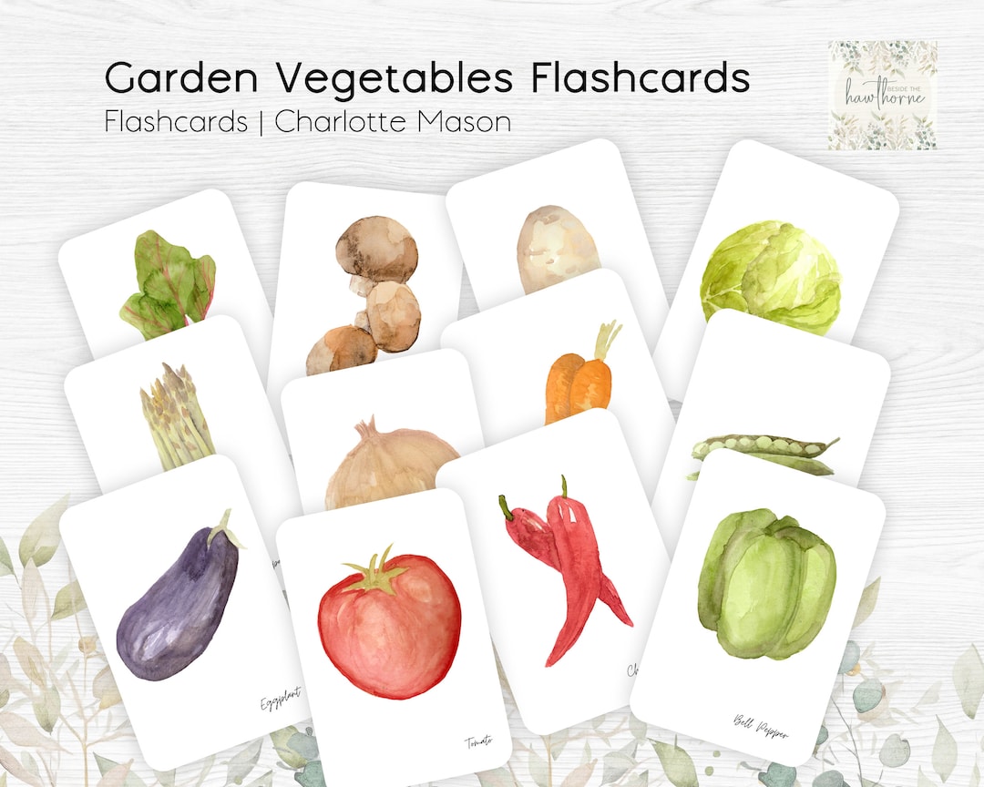 Garden Vegetable Flashcards, Nature Study Flash Cards, Nature ...