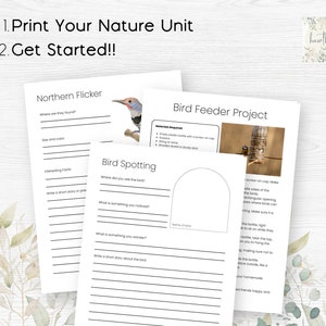 North American Birds Nature Study Unit, Unit Study, Homeschool ...