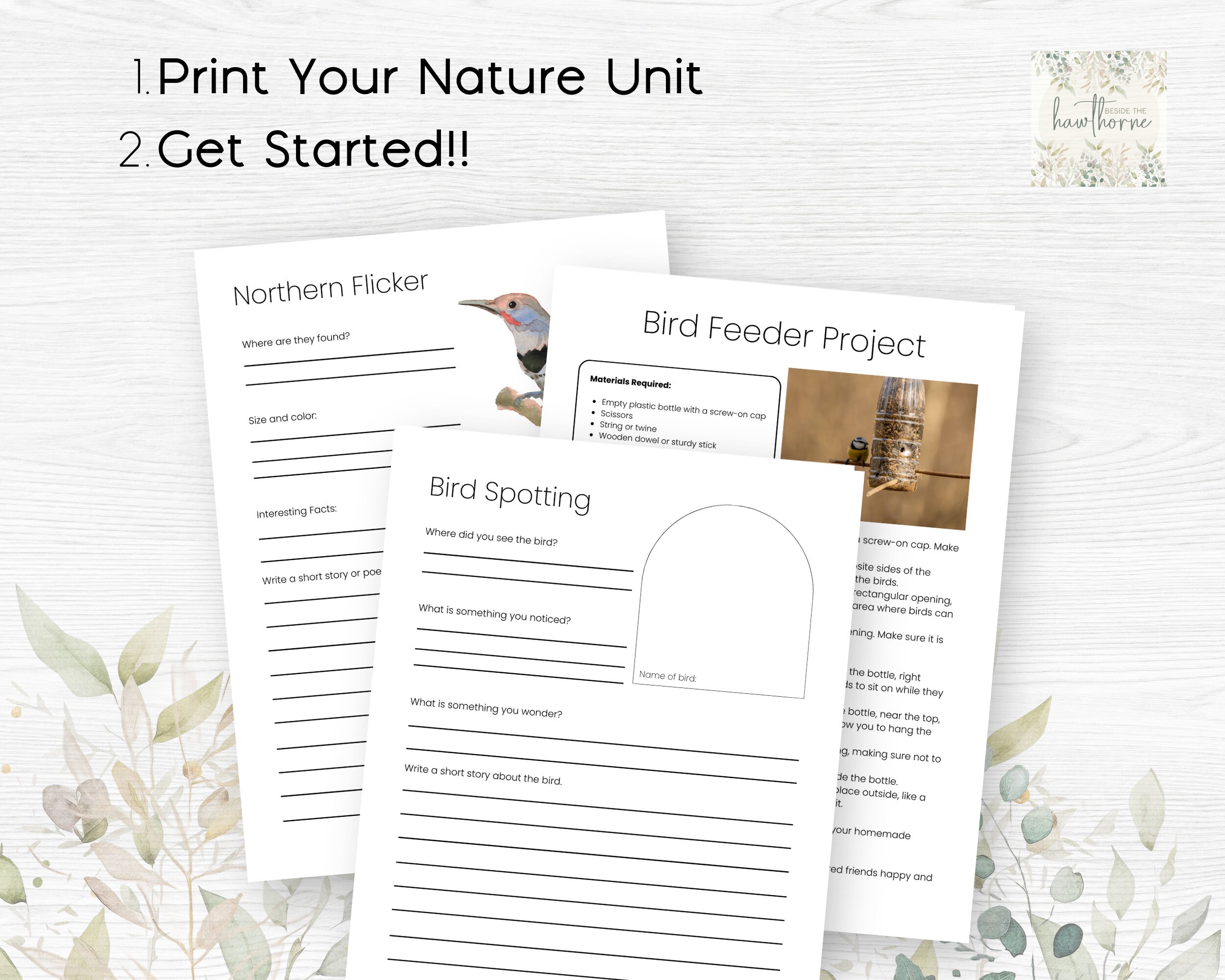 North American Birds Nature Study Unit, Unit Study, Homeschool ...