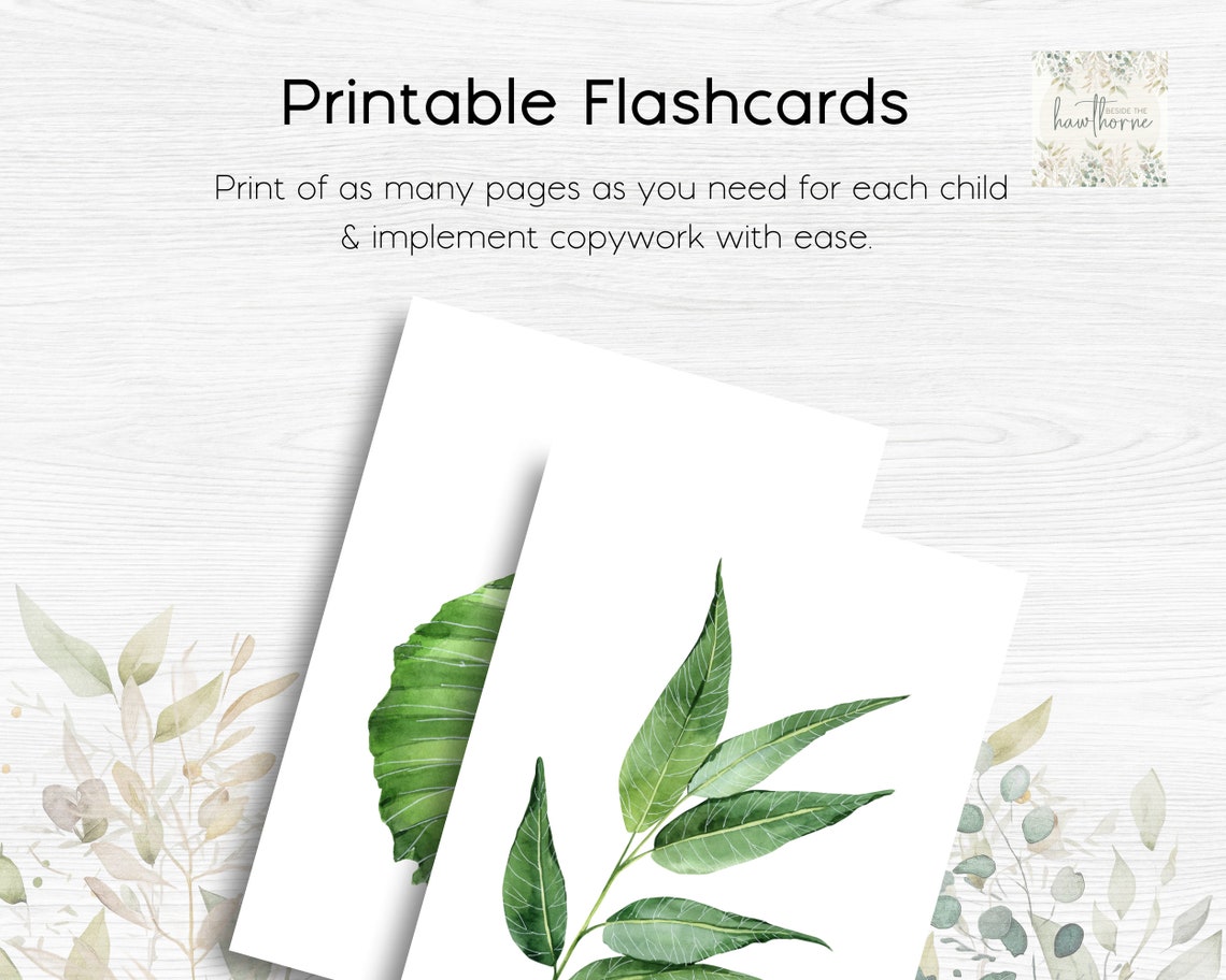 Leaf Identification Flashcards Nature Study Flash Cards - Etsy