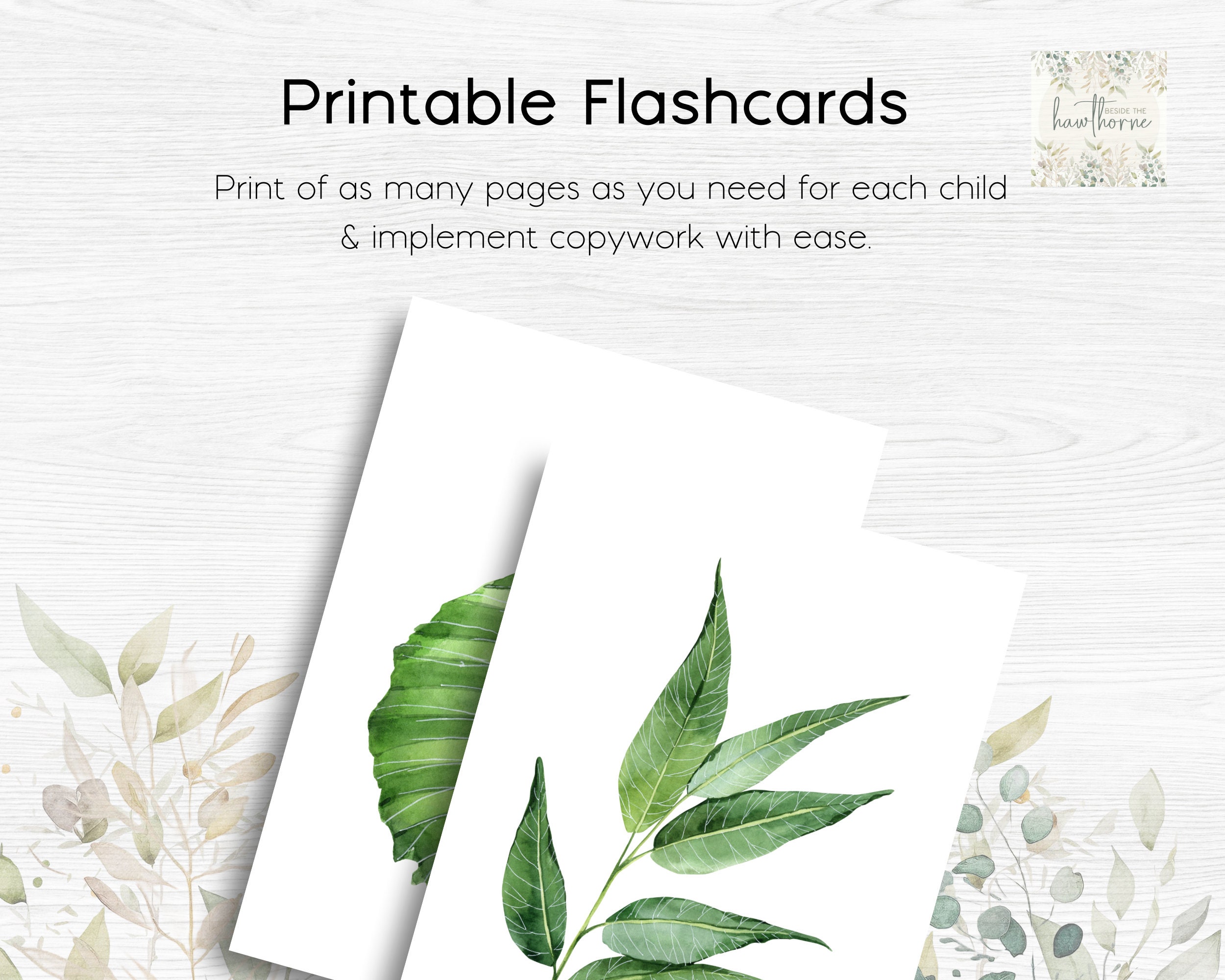 Leaf Identification Flashcards, Nature Study Flash Cards, Nature ...