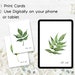 Leaf Identification Flashcards, Nature Study Flash Cards, Nature ...