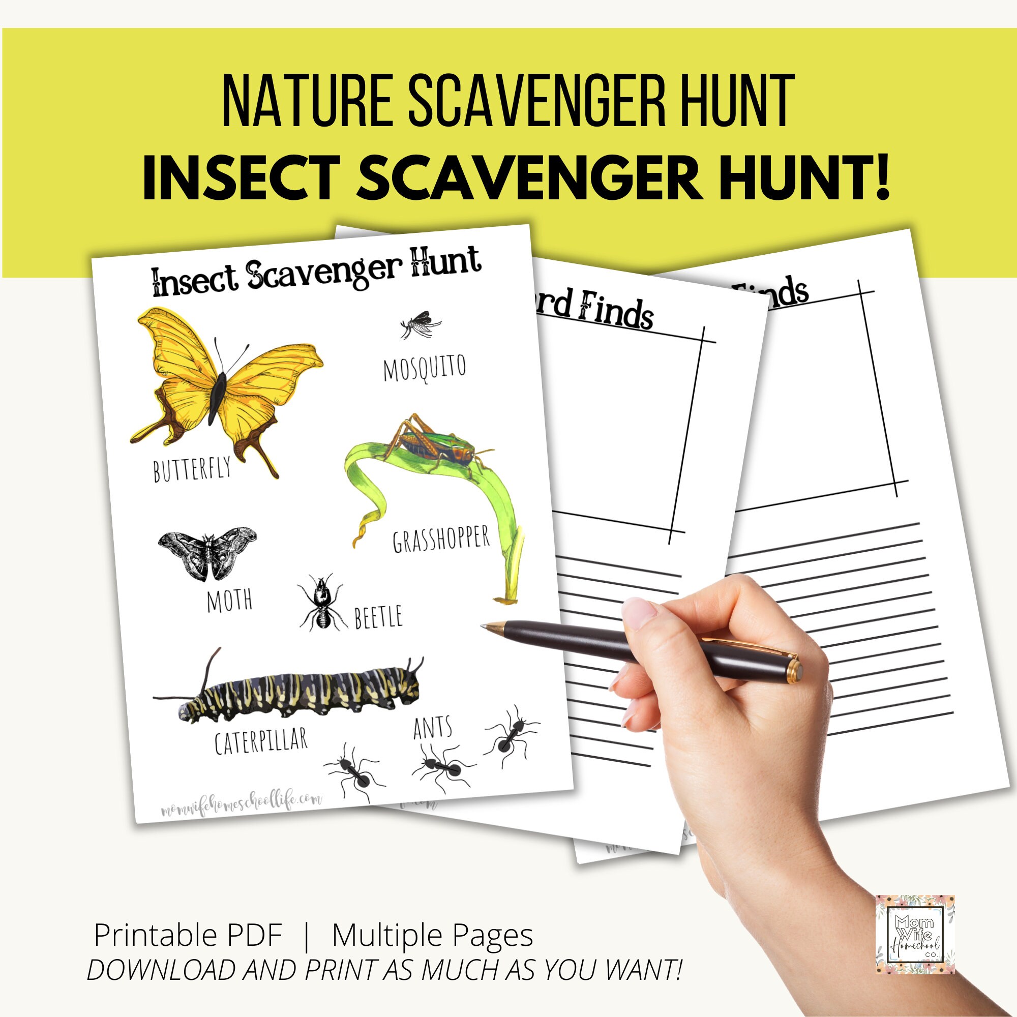 Insect Nature Study | Insect Worksheet | Homeschool Worksheets ...