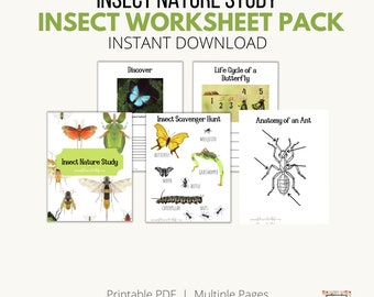 Firefly Unit Study, Nature Notebook, Insect Printable, Homeschool Unit ...