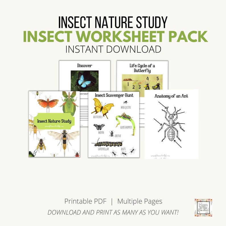 Insect Nature Study Insect Worksheet Homeschool Worksheets Charlotte ...