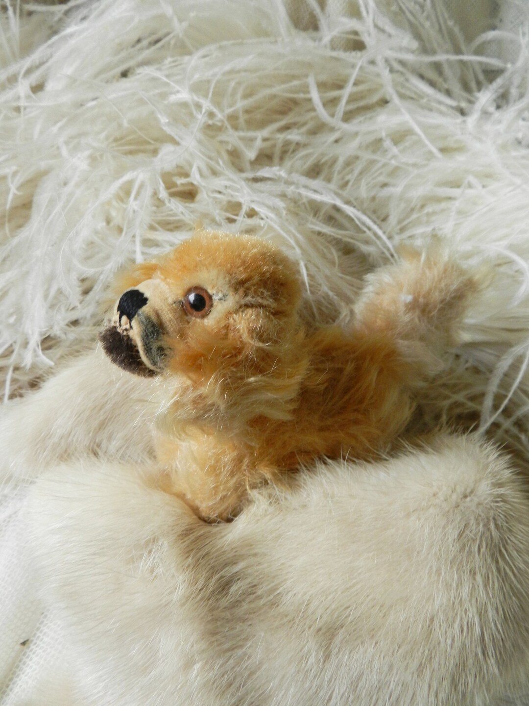 Old Stuffed Animal Small Dog in Brocante Style / Vintage Decoration ...