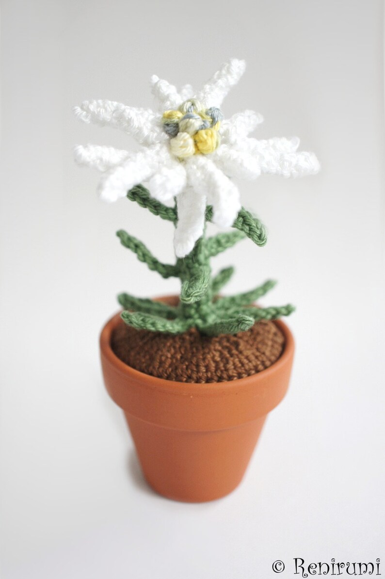 Crochet Pattern Edelweiss • Renirumi - Etsy