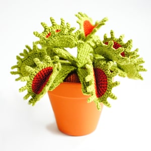 Crochet Pattern Venus Flytrap • Pot Flower • Renirumi - Etsy