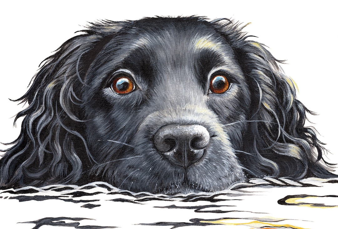 Cocker Spaniel Print, Working Cocker Spaniel, Black Spaniel, Spaniel ...