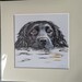 Cocker Spaniel, Print, Working Cocker Spaniel,black Spaniel, Spaniel ...