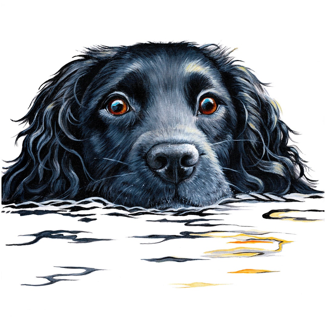 Cocker Spaniel, Print, Working Cocker Spaniel,black Spaniel, Spaniel ...