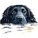 Cocker Spaniel, Print, Working Cocker Spaniel,black Spaniel, Spaniel ...