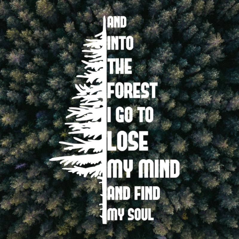 Into the Forest I Go - Etsy