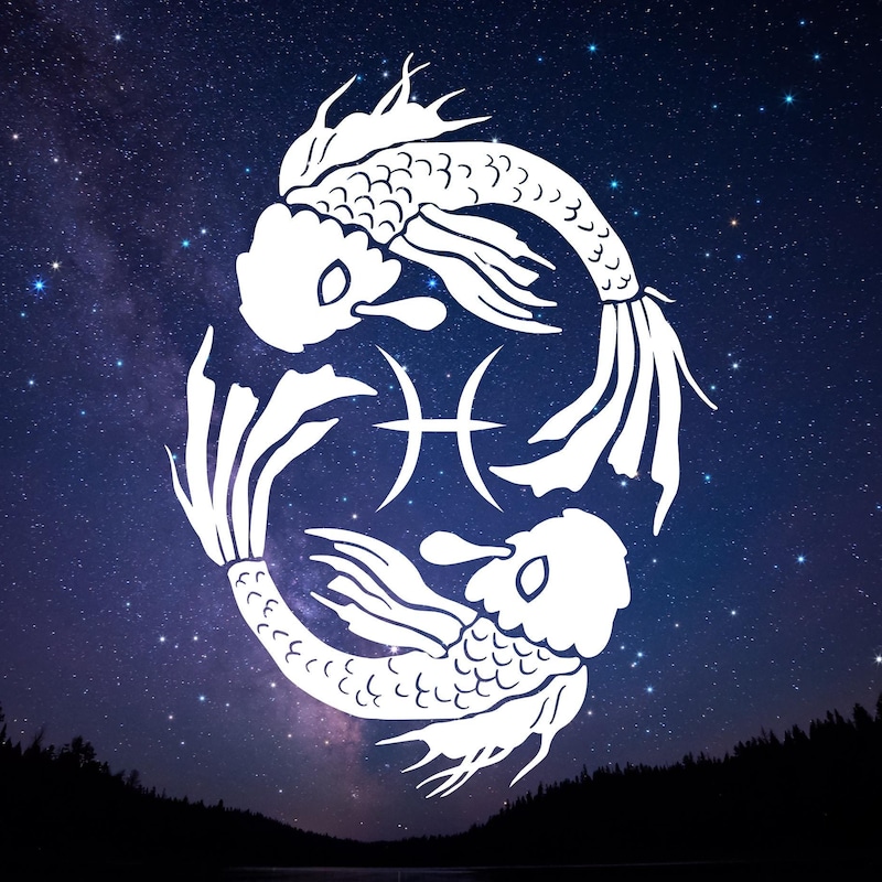 Pisces Fish Stickers - Etsy