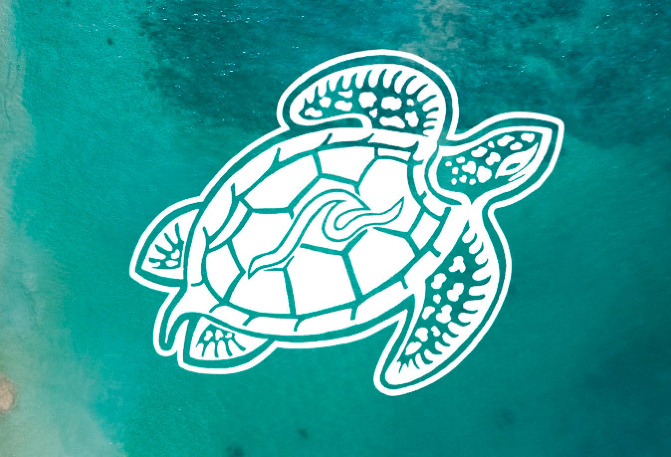 Turtle Vinyl Decal Vinyl Sticker Car Window Decal Yeti Cup | Etsy