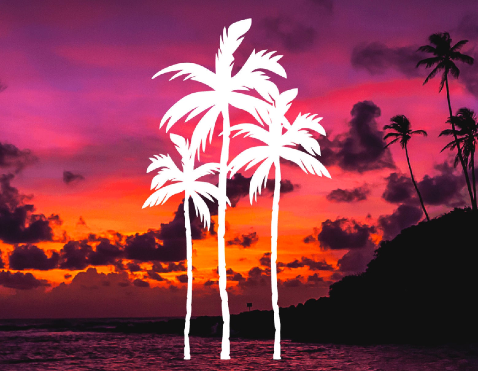 Palm Trees Vinyl Decal Vinyl Sticker Car Window Decal Yeti - Etsy