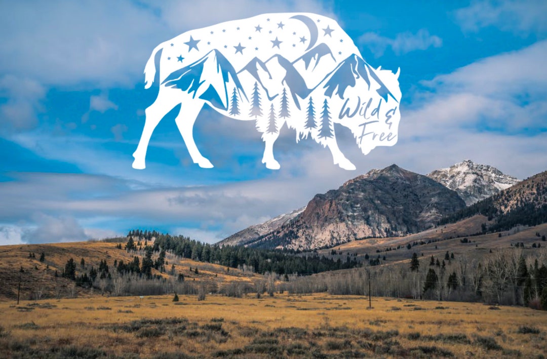 Buffalo Bison Vinyl Decal – Wild & Free Mountain Design - Etsy