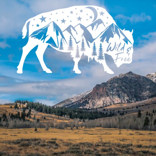 Bison Vinyl Sticker - Etsy