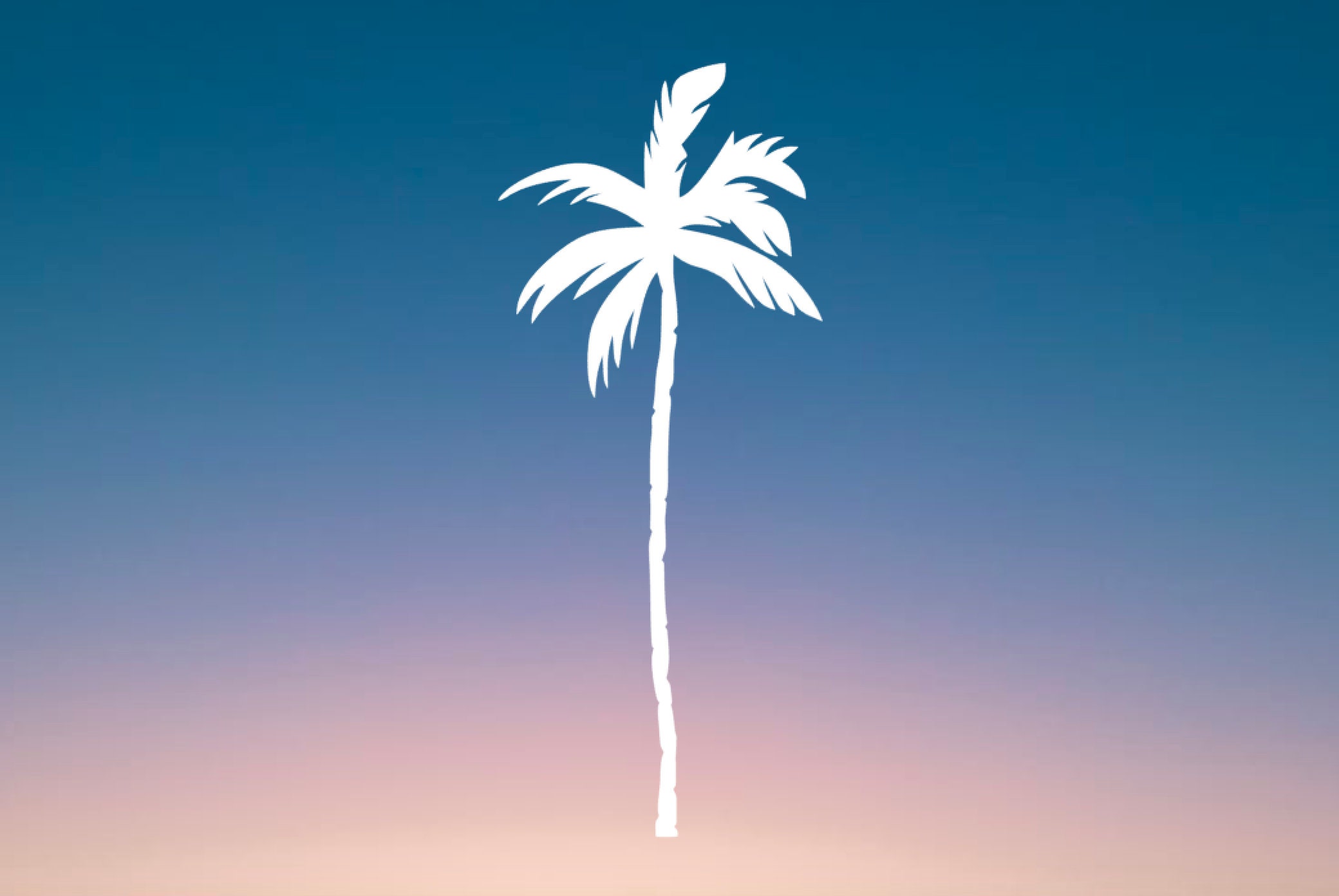 Palm Tree Vinyl Decal Vinyl Sticker Car Window Decal Yeti - Etsy