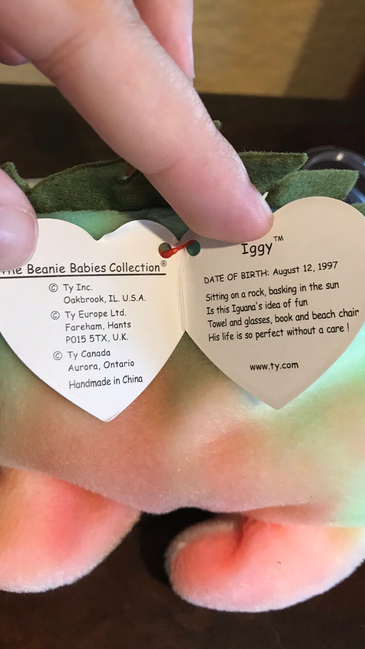 Iggy the Iguana Beanie Baby With Ear and Tush Tag Errors, From 1997 ...