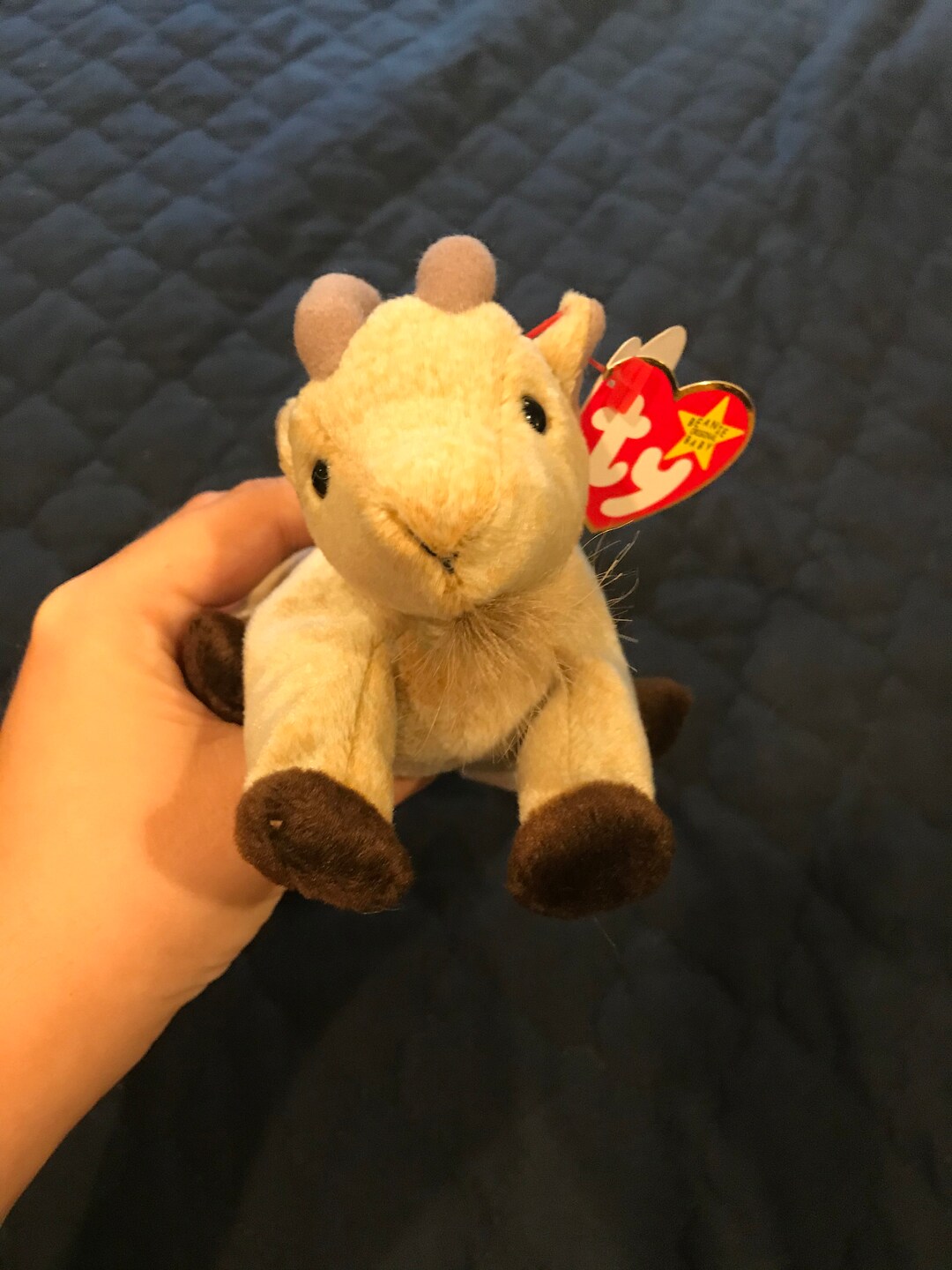 Goatee the Goat Beanie Baby With Ear and Tush Tag Errors - Etsy