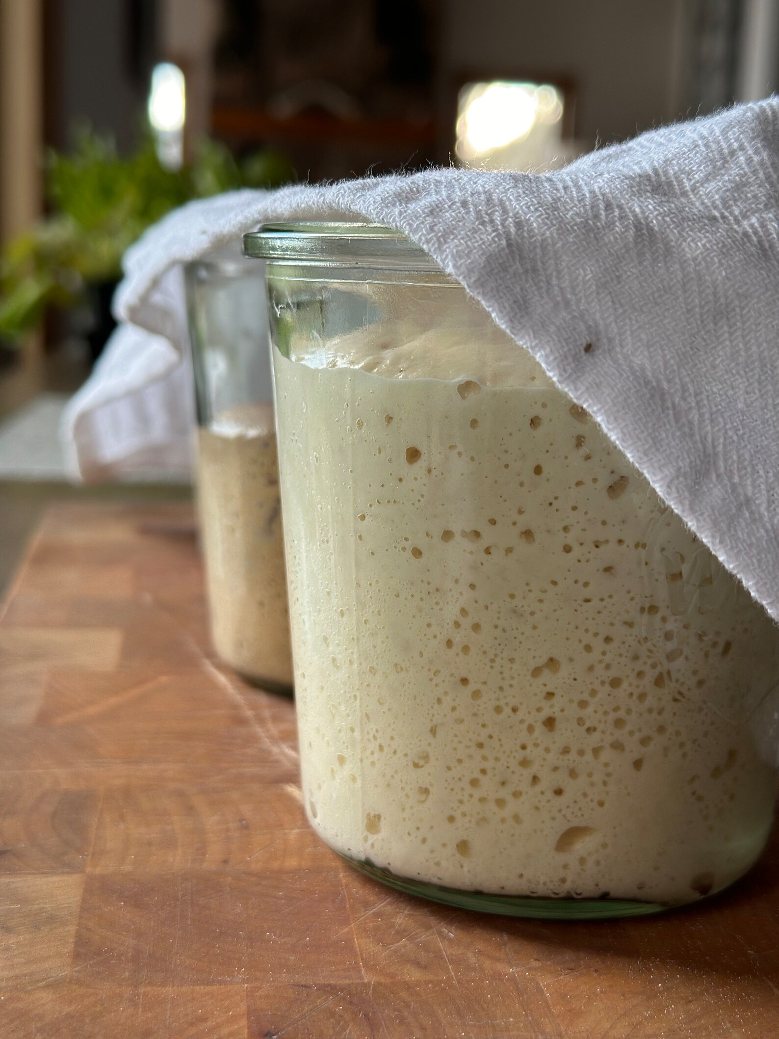 Sourdough Bread Starter for Freshly Baked Homemade Bread, Bagels ...